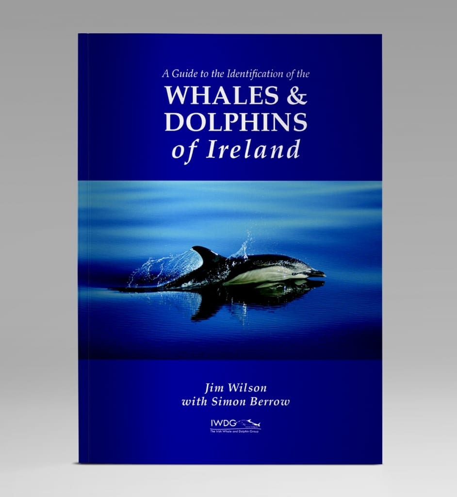 Identification Guide | Irish Whale and Dolphin Group