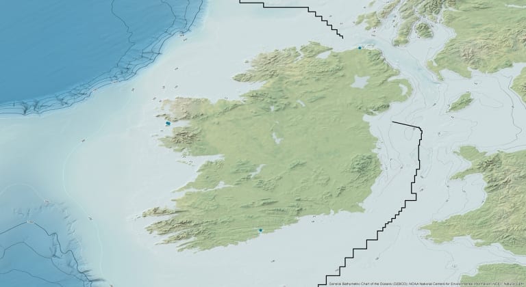 Beluga Whale | Irish Whale and Dolphin Group