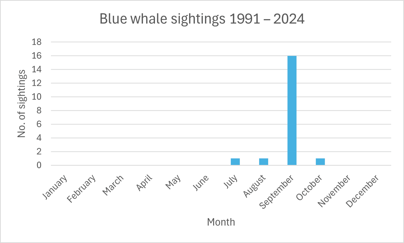 Blue Whale | Irish Whale and Dolphin Group