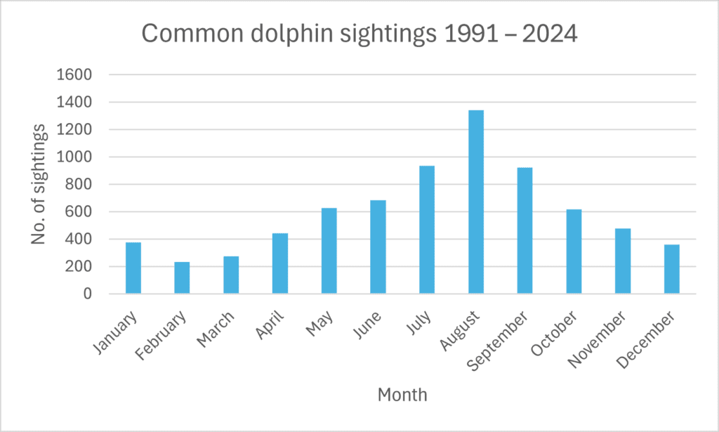 Common Dolphin | Irish Whale and Dolphin Group