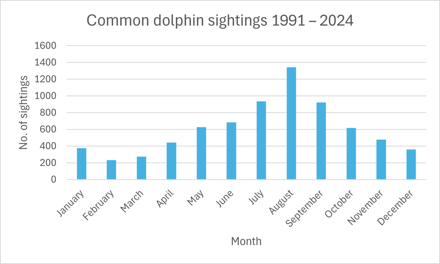 Common Dolphin | Irish Whale and Dolphin Group