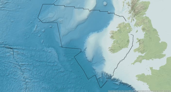 Blue Whale | Irish Whale and Dolphin Group