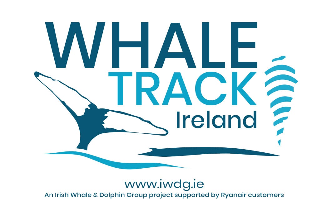 WhaleTrack Ireland: Amazing footage of humpback whales off West Cork ...