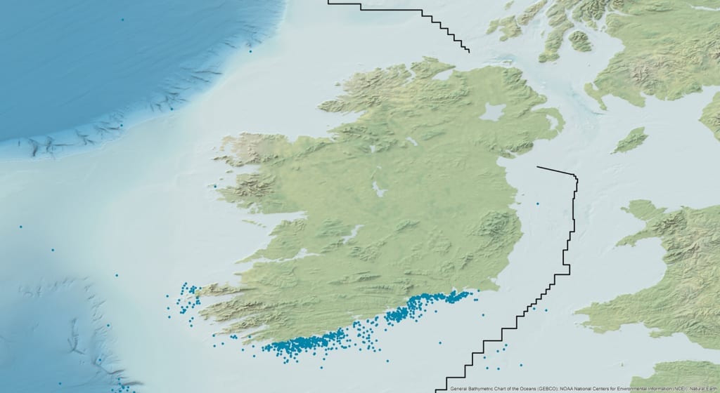 Fin Whale | Irish Whale and Dolphin Group