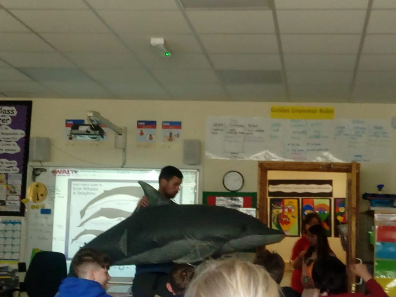 Floating Classroom completes its’ tour in from Dublin to Cork | Irish ...