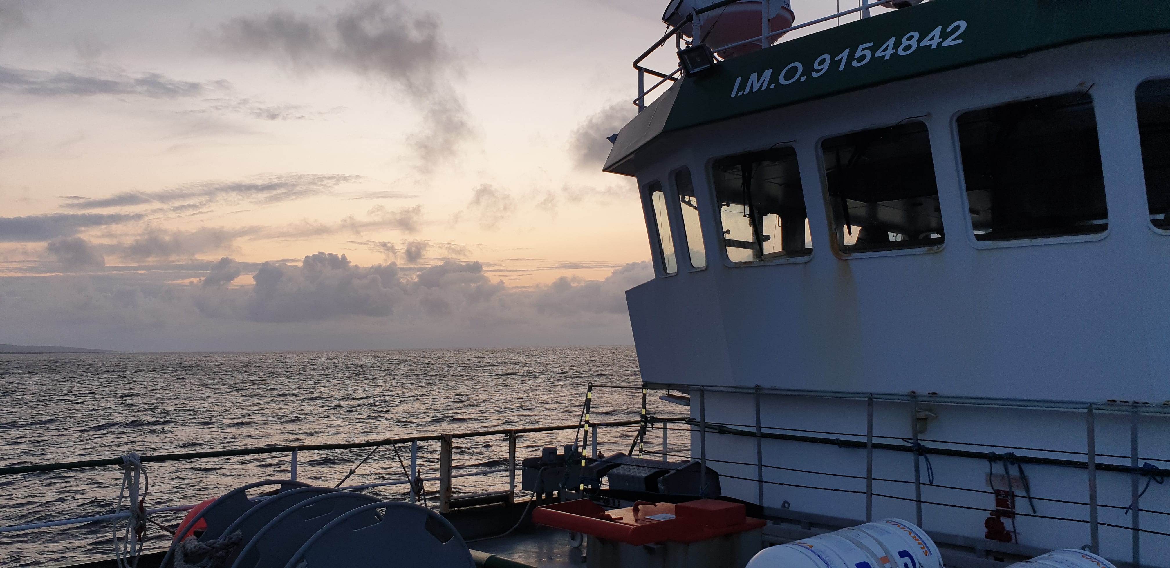 Marine Top Predators on the 100m contour | Irish Whale and Dolphin Group