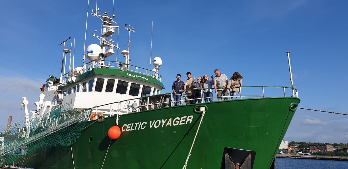 Marine Top Predators on the 100m contour | Irish Whale and Dolphin Group