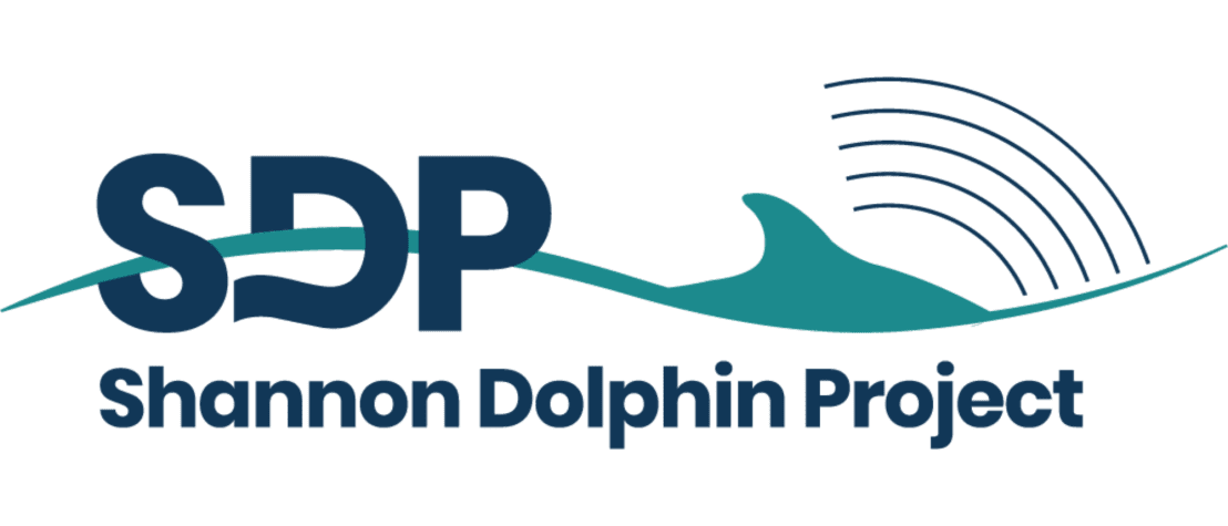 Shannon Dolphin Project | Irish Whale and Dolphin Group