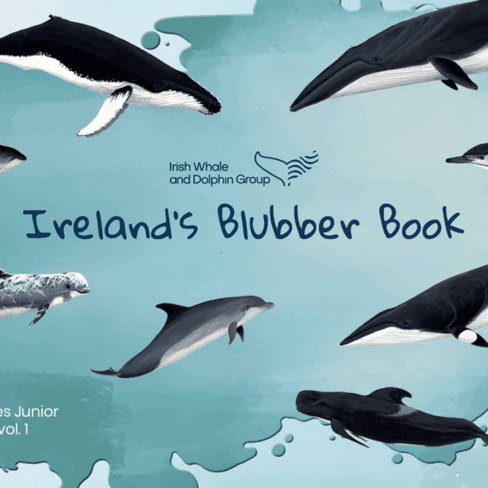 Ireland’s Blubber Book | Irish Whale and Dolphin Group