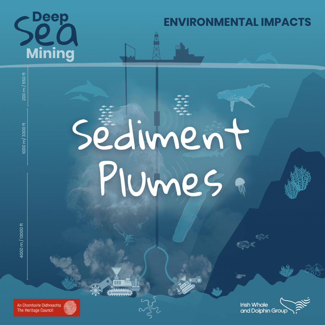 Deep Sea Mining: a Comprehensive Review | Irish Whale and Dolphin Group