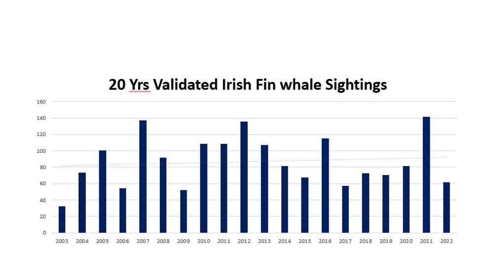 Fin Whale Photo-Identification Catalogue | Irish Whale and Dolphin Group