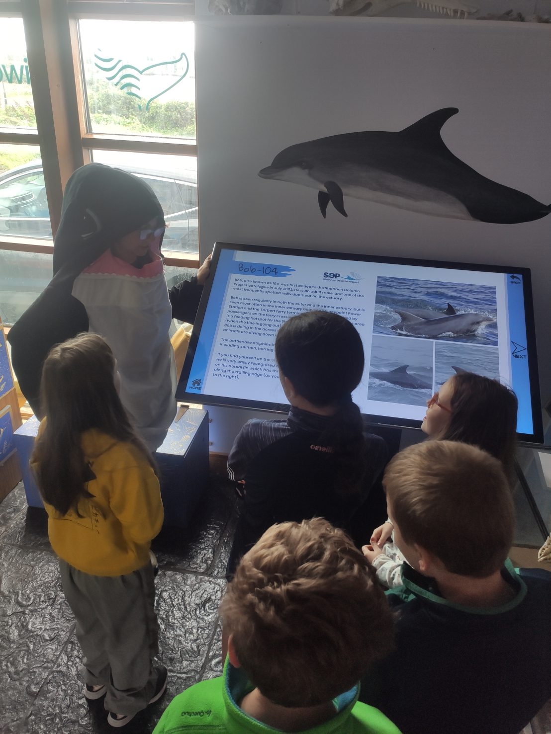 Be A Marine Biologist for a Day – National Heritage Week Blog | Irish ...