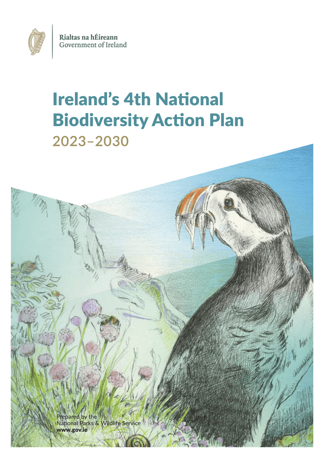 National Biodiversity Action Plan Published | Irish Whale and Dolphin Group