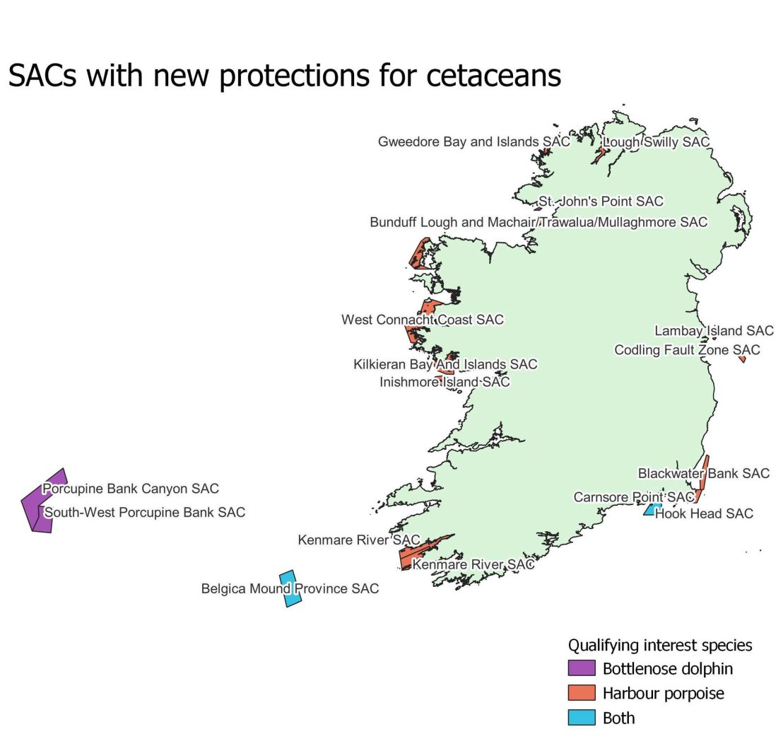 NPWS adds new protection for cetacean species | Irish Whale and Dolphin ...