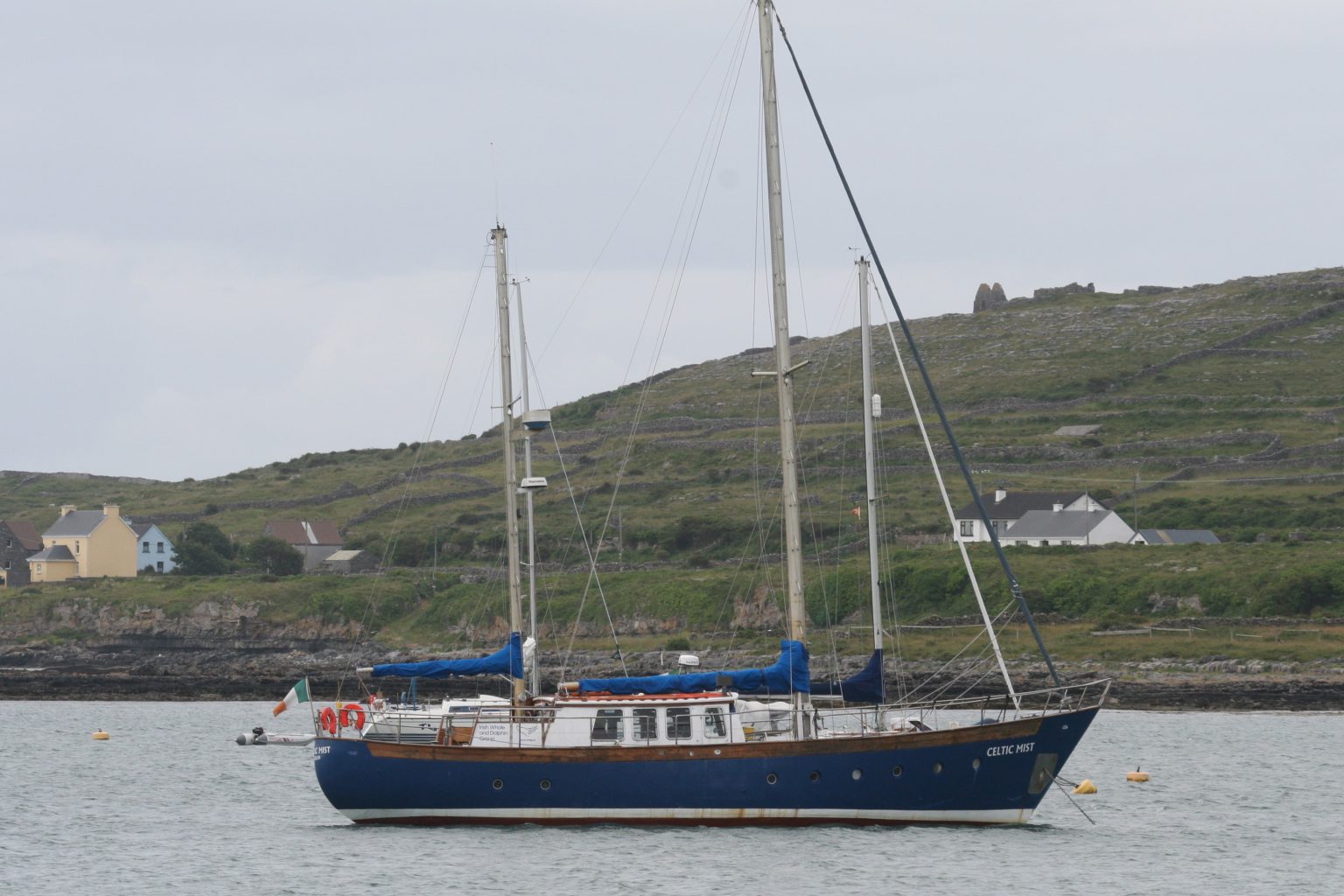 An unforgettable adventure onboard Celtic Mists on our latest survey ...
