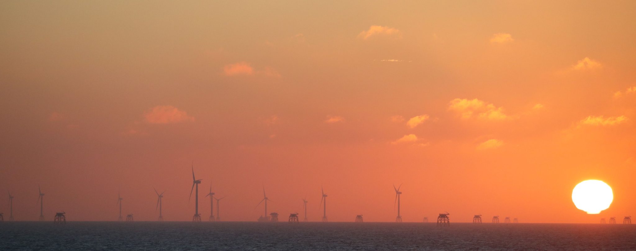 New National DMAP For ORE Announced | Irish Whale and Dolphin Group